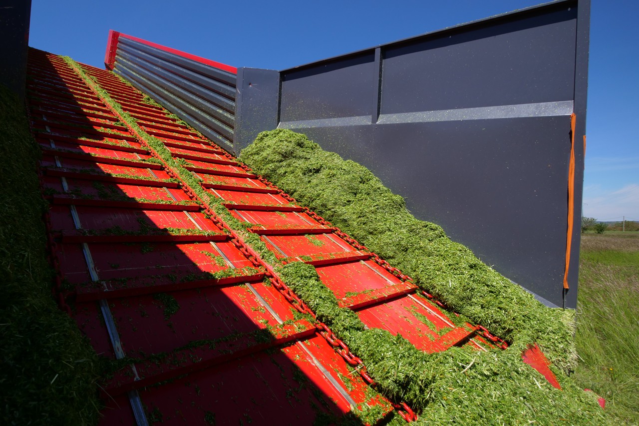 Trans-eXpress 3000 – Perard